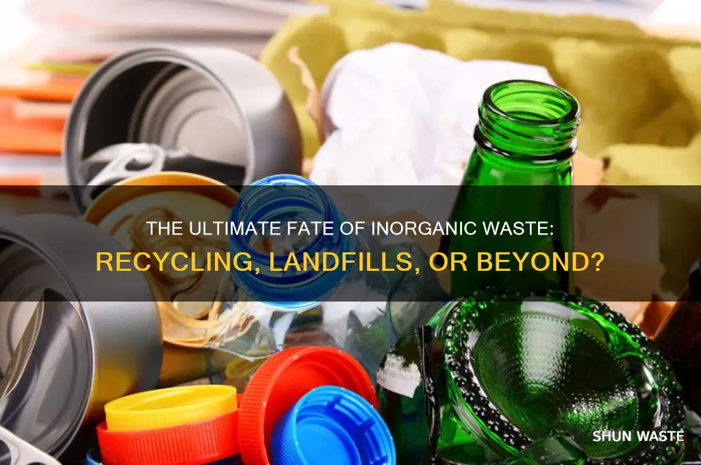 The Ultimate Fate Of Inorganic Waste: Recycling, Landfills, Or Beyond ...