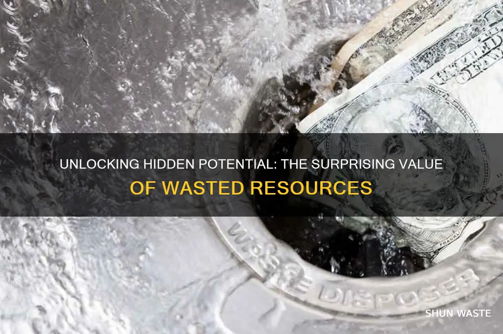 Unlocking Hidden Potential: The Surprising Value Of Wasted Resources ...