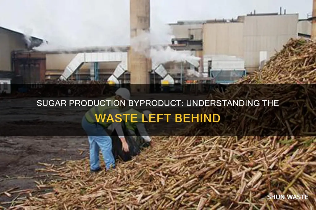 Sugar Production Byproduct: Understanding The Waste Left Behind | ShunWaste