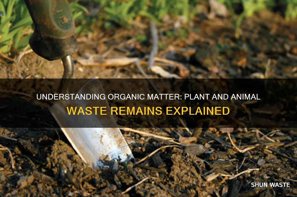 Understanding Organic Matter: Plant And Animal Waste Remains Explained ...