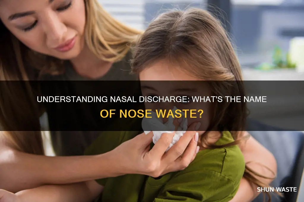 Understanding Nasal Discharge: What's The Name Of Nose Waste? | ShunWaste