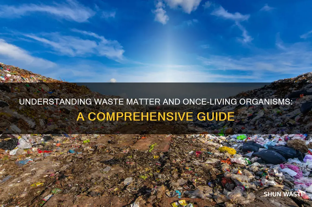 Understanding Waste Matter And Once-Living Organisms: A Comprehensive ...