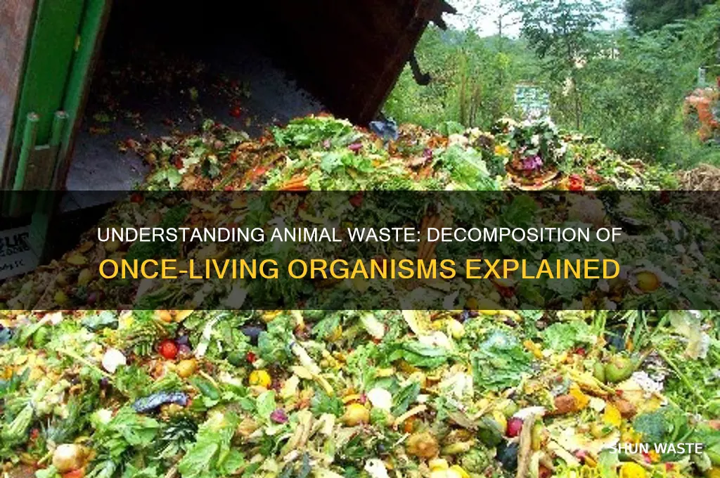 Understanding Animal Waste: Decomposition Of Once-Living Organisms ...