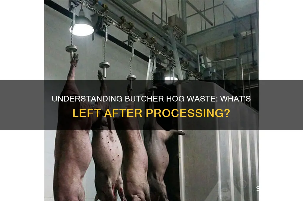 Understanding Butcher Hog Waste: What's Left After Processing? | ShunWaste