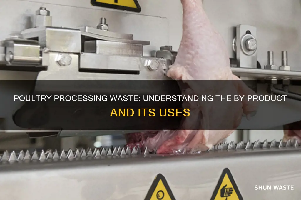 Poultry Processing Waste: Understanding The By-Product And Its Uses ...