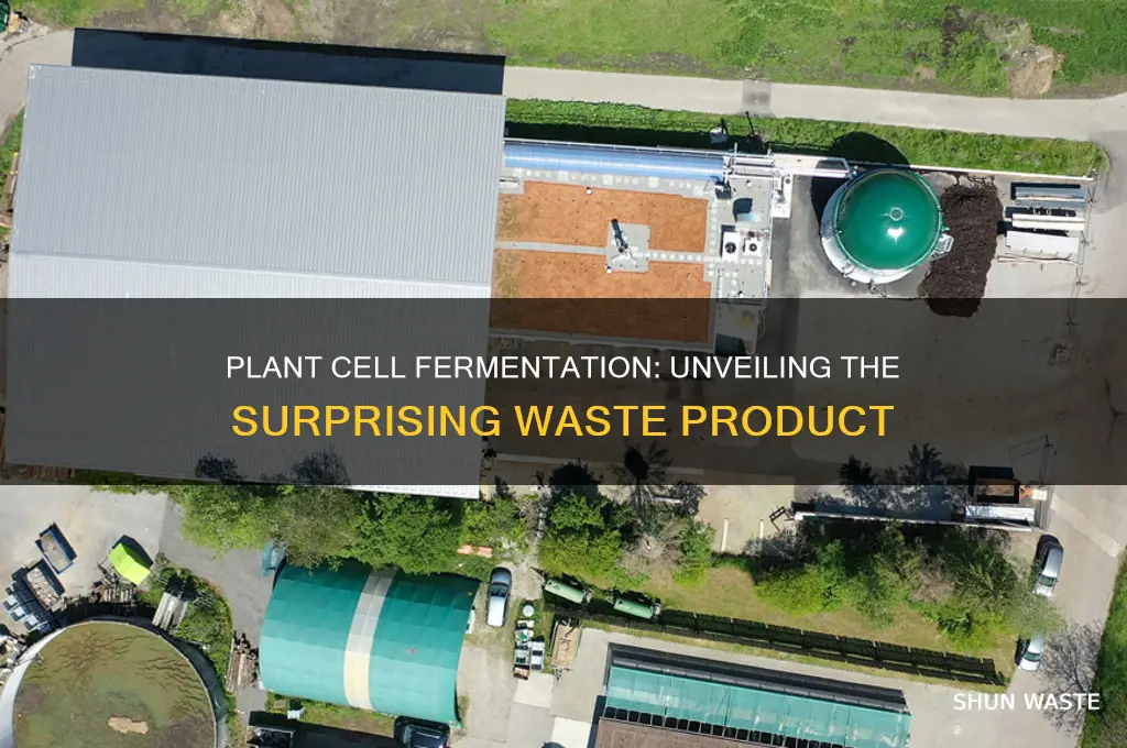 Plant Cell Fermentation: Unveiling The Surprising Waste Product | ShunWaste