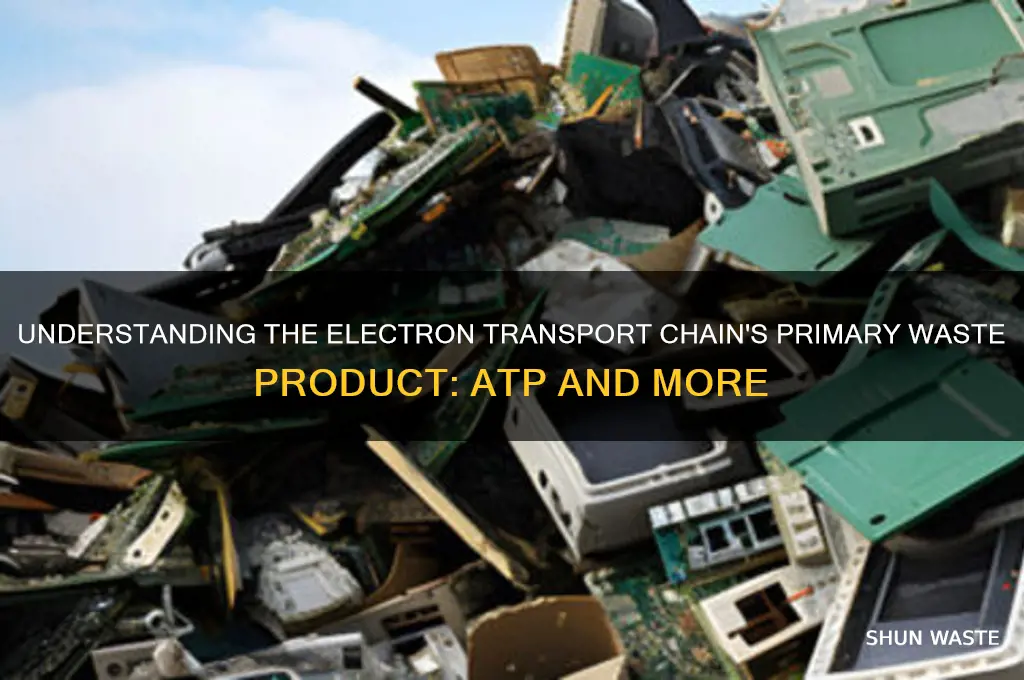 Understanding The Electron Transport Chain's Primary Waste Product: Atp ...