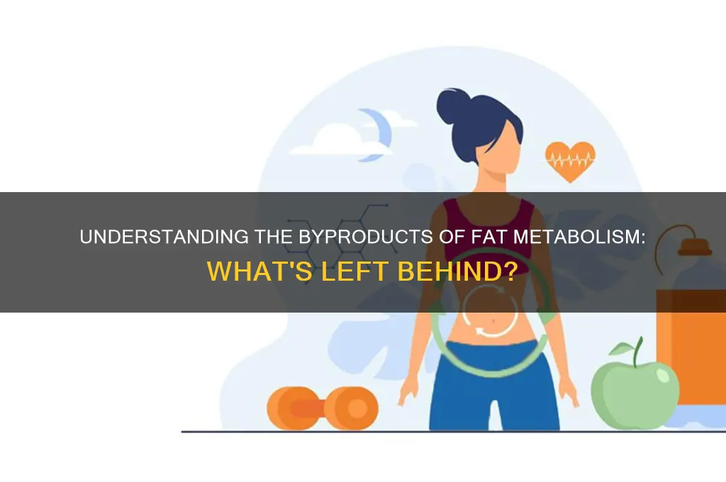 Understanding The Byproducts Of Fat Metabolism: What's Left Behind ...