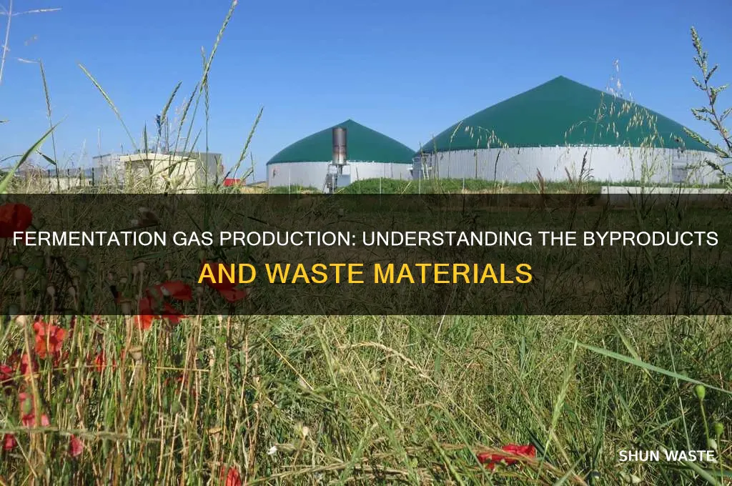 Fermentation Gas Production: Understanding The Byproducts And Waste ...