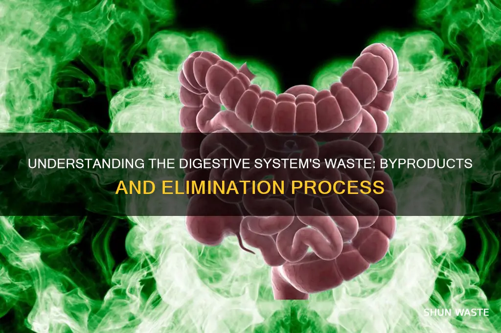 Understanding The Digestive System's Waste: Byproducts And Elimination ...