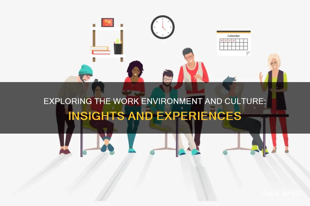 Exploring The Work Environment And Culture: Insights And Experiences ...