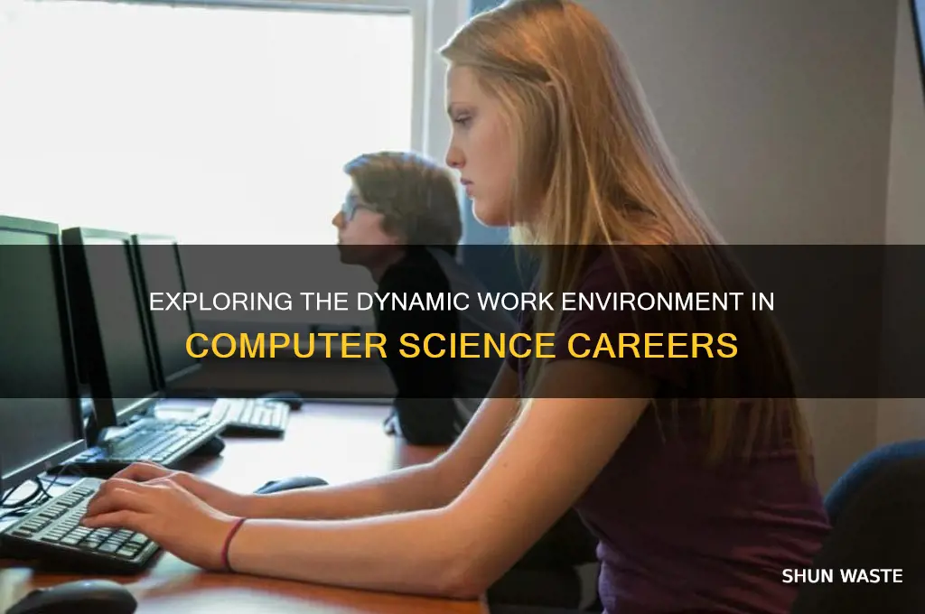 Exploring The Dynamic Work Environment In Computer Science Careers ...