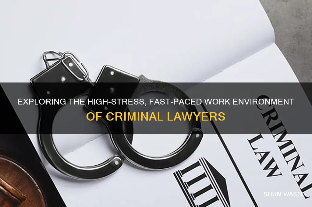 Exploring The High-Stress, Fast-Paced Work Environment Of Criminal ...