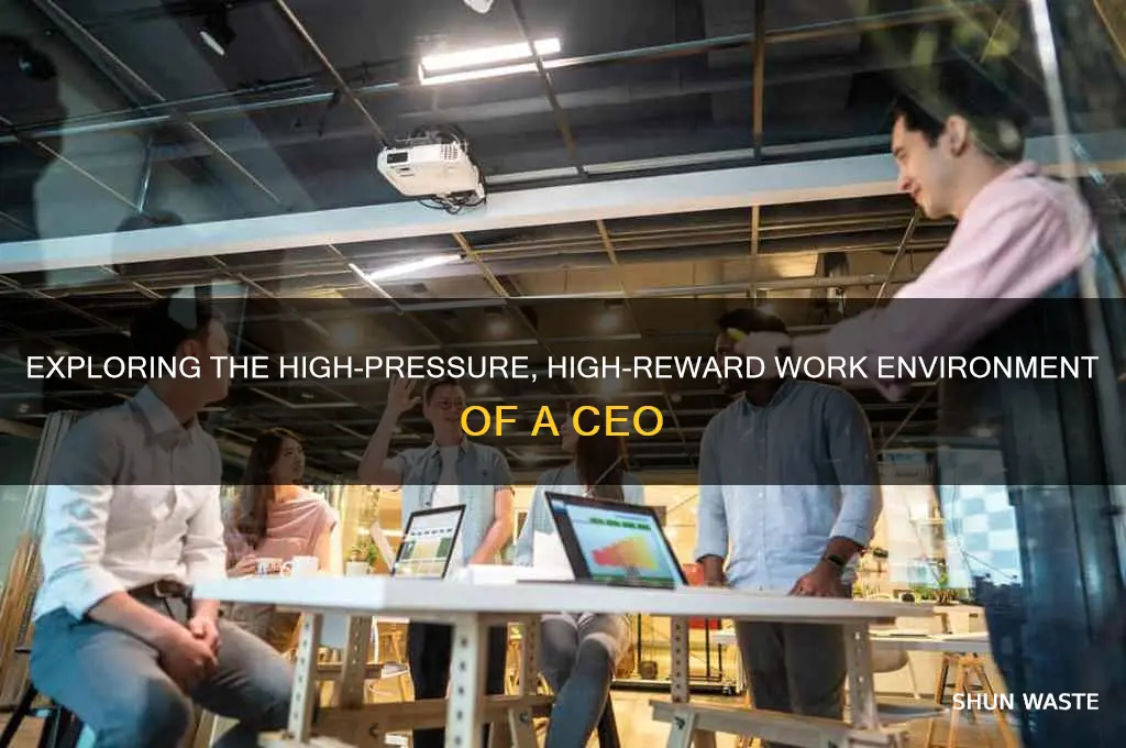 Exploring The High-Pressure, High-Reward Work Environment Of A Ceo ...
