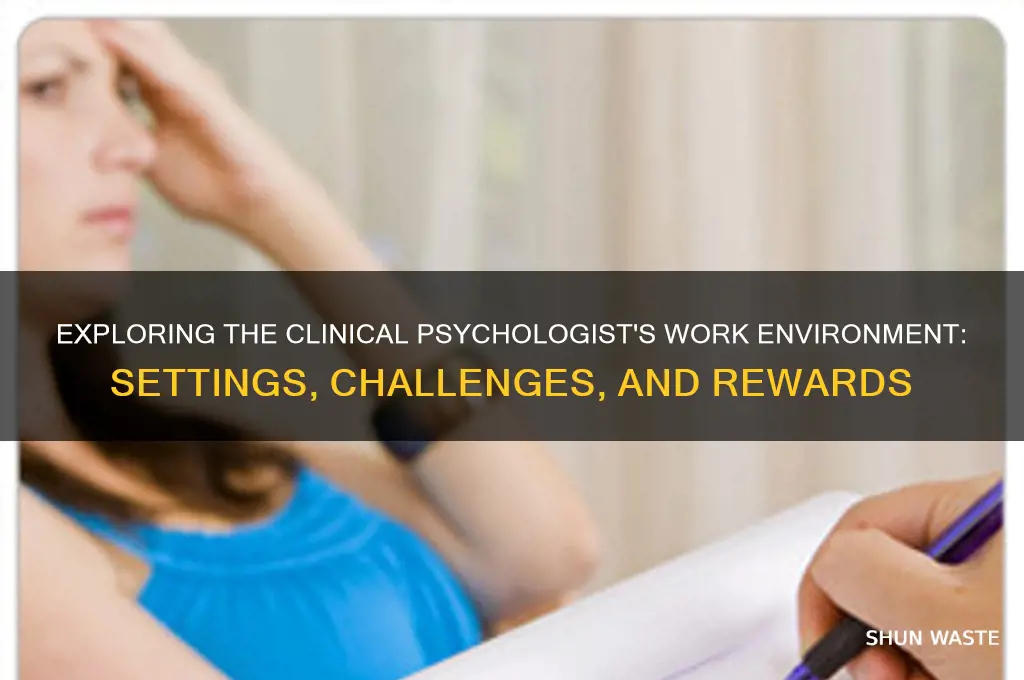 Exploring The Clinical Psychologist's Work Environment: Settings ...