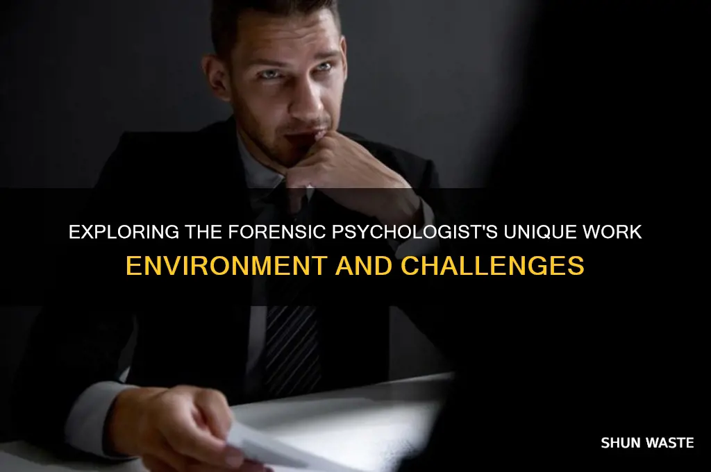 Exploring The Forensic Psychologist's Unique Work Environment And ...