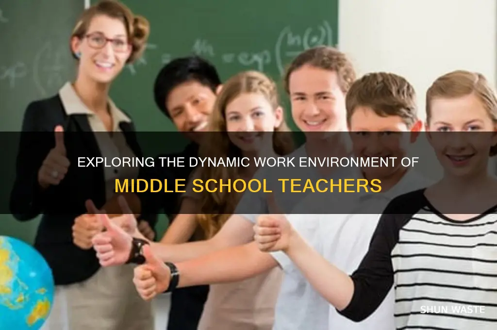 Exploring The Dynamic Work Environment Of Middle School Teachers ...