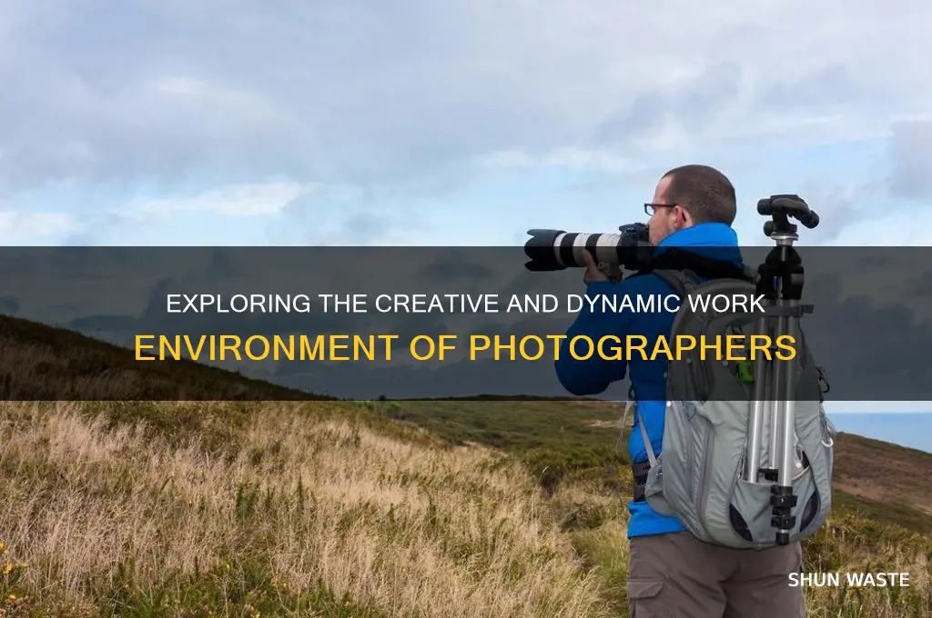 Exploring The Creative And Dynamic Work Environment Of Photographers ...