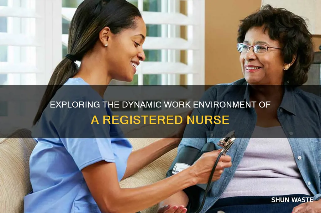 Exploring The Dynamic Work Environment Of A Registered Nurse | ShunWaste