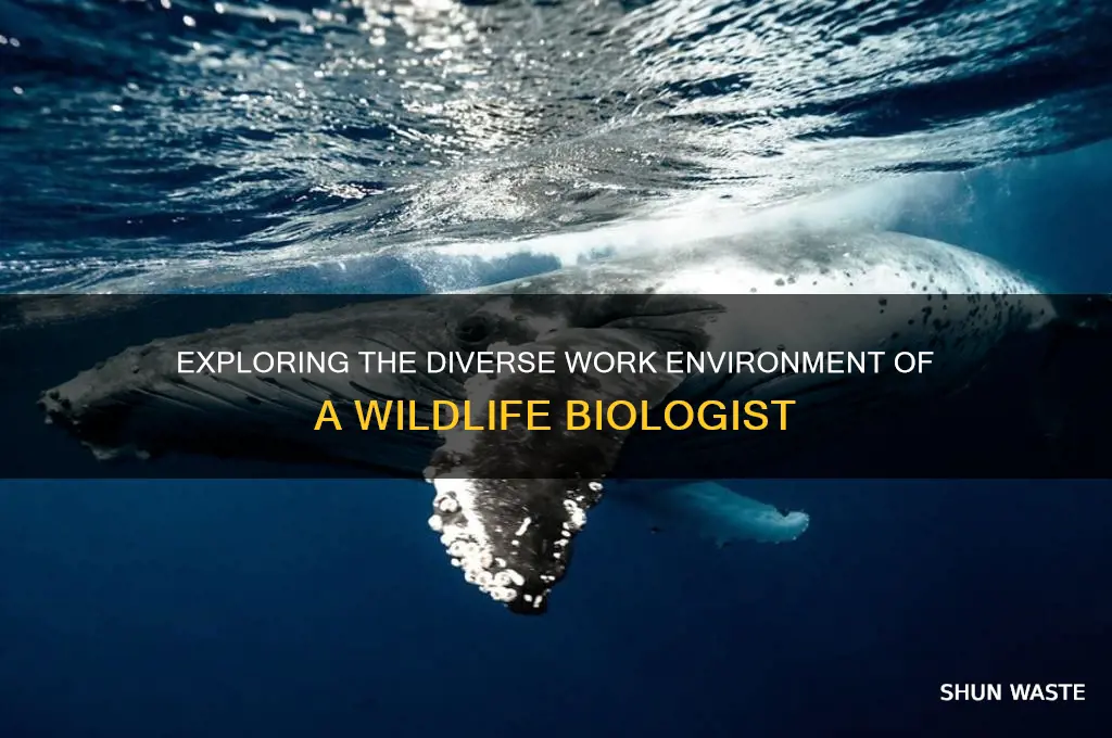 Exploring The Diverse Work Environment Of A Wildlife Biologist | ShunWaste