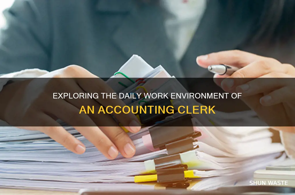 Exploring The Daily Work Environment Of An Accounting Clerk | ShunWaste