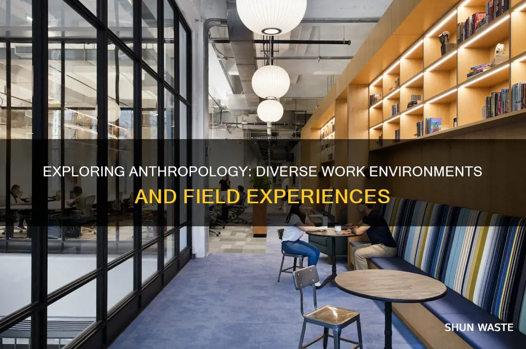 Exploring Anthropology: Diverse Work Environments And Field Experiences ...