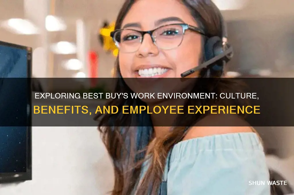 Exploring Best Buy's Work Environment: Culture, Benefits, And Employee ...