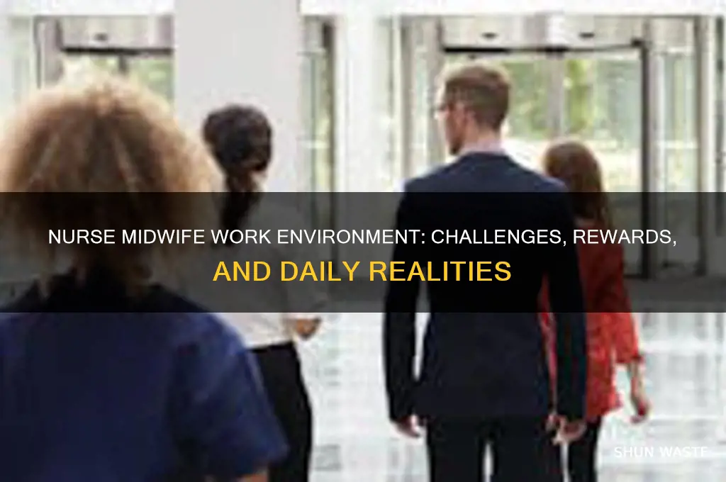 Nurse Midwife Work Environment: Challenges, Rewards, And Daily ...