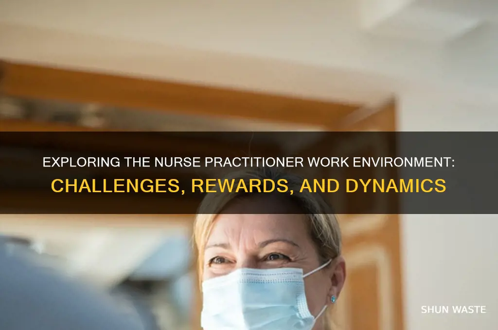 Exploring The Nurse Practitioner Work Environment: Challenges, Rewards ...
