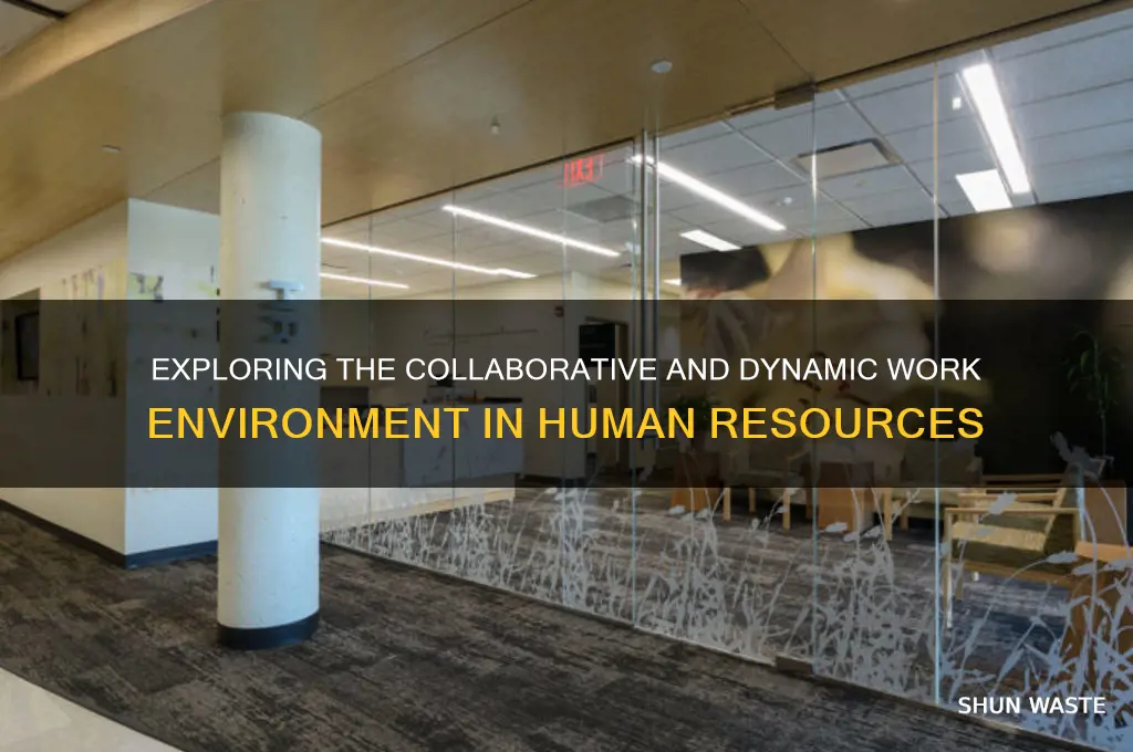 Exploring The Collaborative And Dynamic Work Environment In Human ...