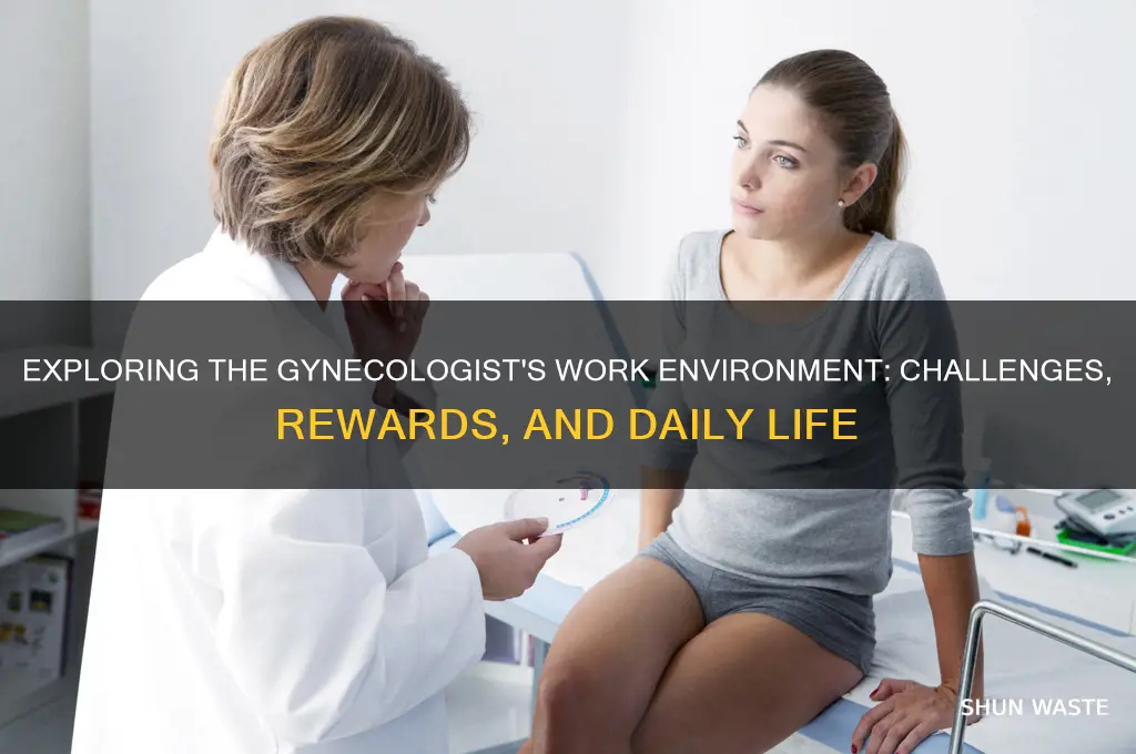 Exploring The Gynecologist's Work Environment: Challenges, Rewards, And ...