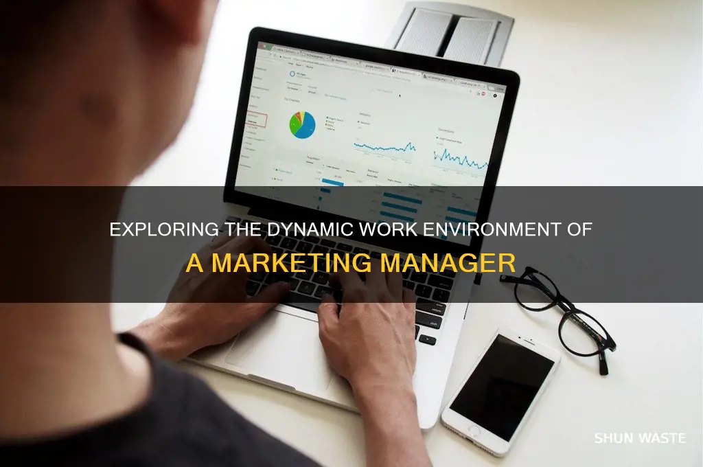 Exploring The Dynamic Work Environment Of A Marketing Manager | ShunWaste