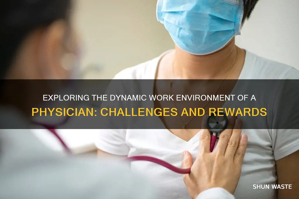Exploring The Dynamic Work Environment Of A Physician: Challenges And ...