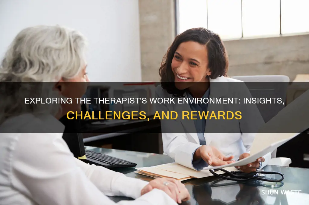 Exploring The Therapist's Work Environment: Insights, Challenges, And ...
