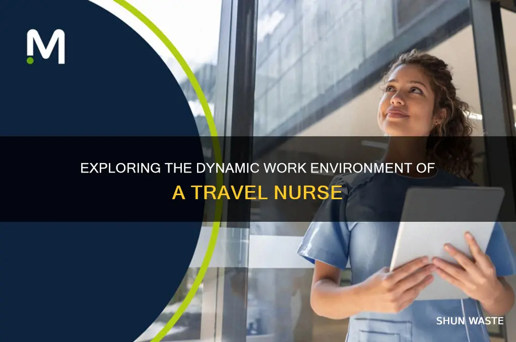 Exploring The Dynamic Work Environment Of A Travel Nurse | ShunWaste