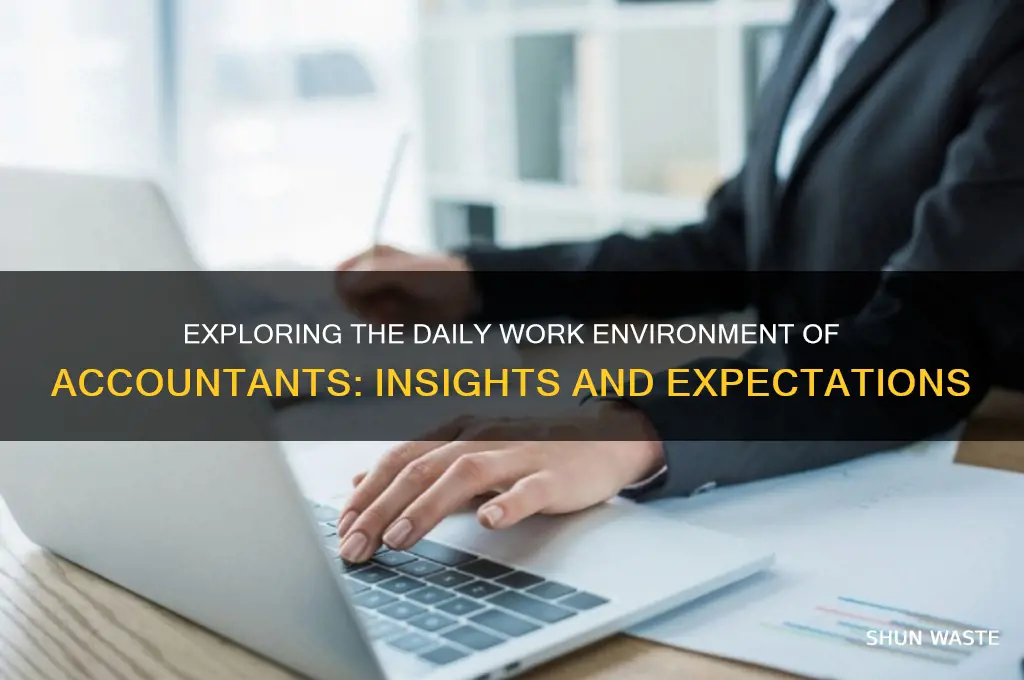 Exploring The Daily Work Environment Of Accountants: Insights And ...