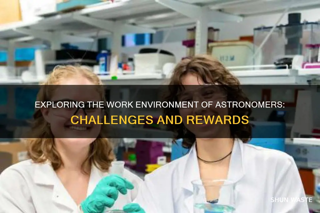 Exploring The Work Environment Of Astronomers: Challenges And Rewards ...