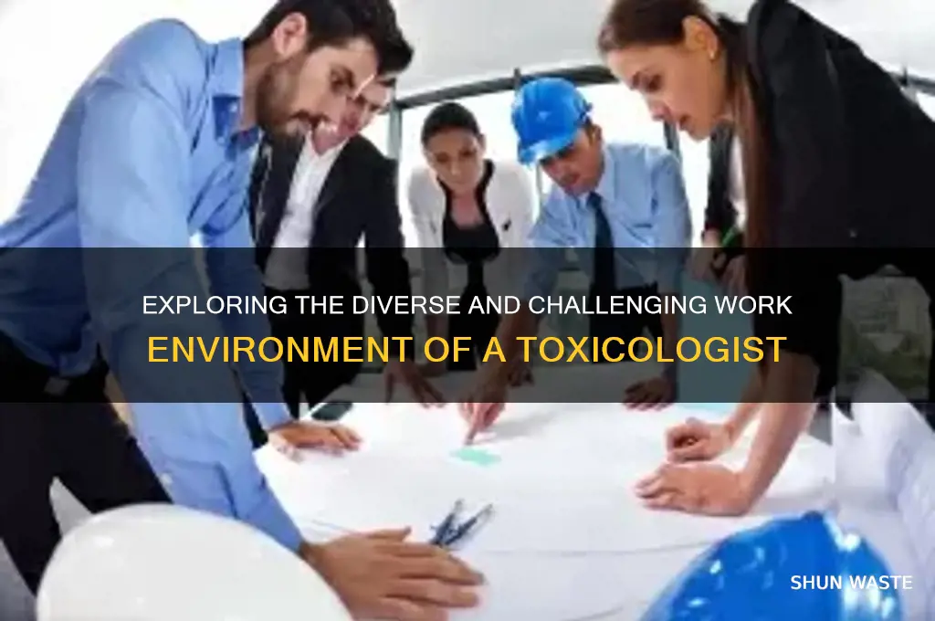 Exploring The Diverse And Challenging Work Environment Of A ...