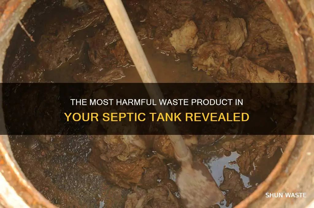 The Most Harmful Waste Product In Your Septic Tank Revealed | ShunWaste