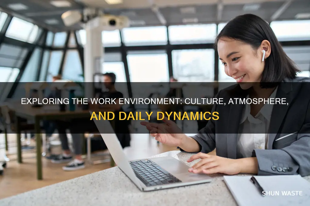 Exploring The Work Environment: Culture, Atmosphere, And Daily Dynamics ...