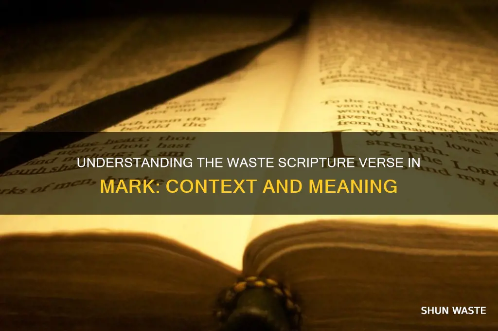 Understanding The Waste Scripture Verse In Mark: Context And Meaning ...