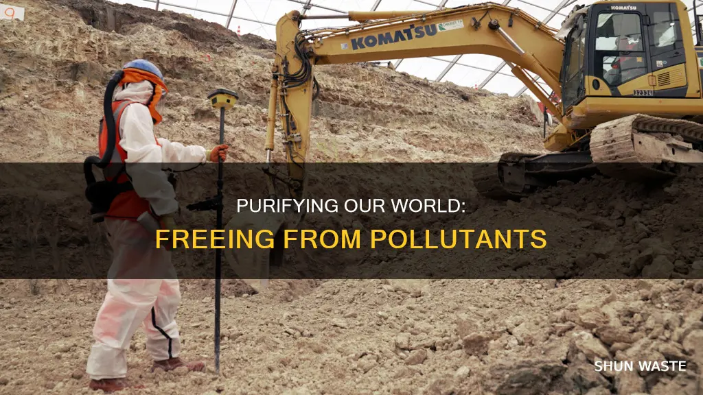 Purifying Our World: Freeing From Pollutants | ShunWaste