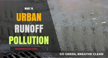 Stormwater Pollution: Urban Runoff's Dirty Secrets | ShunWaste