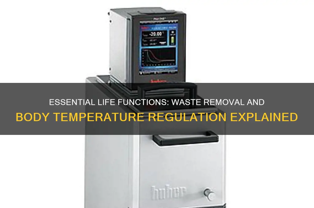 Essential Life Functions: Waste Removal And Body Temperature Regulation ...