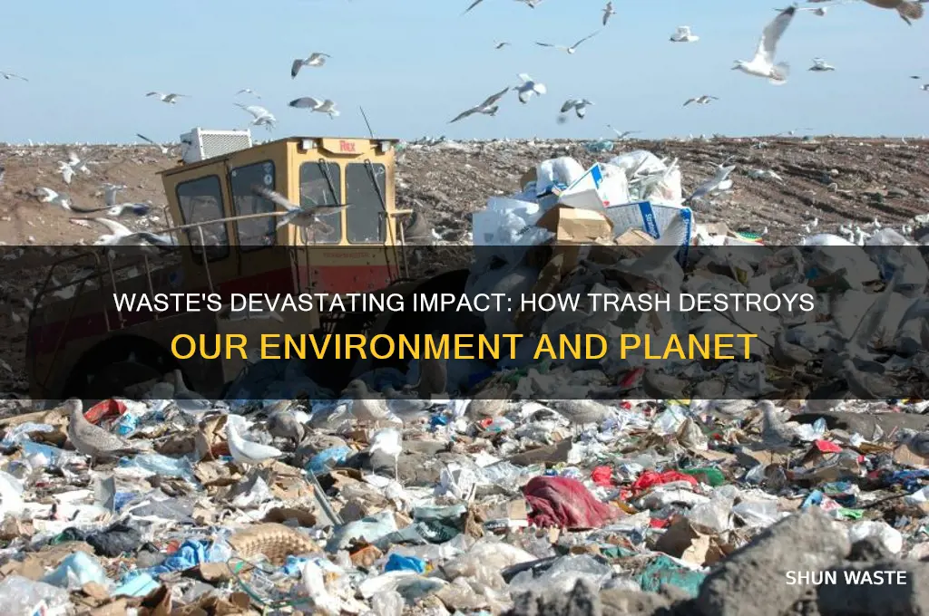 Waste's Devastating Impact: How Trash Destroys Our Environment And ...