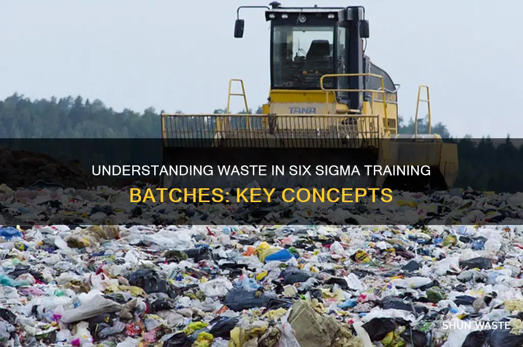 Understanding Waste In Six Sigma Training Batches: Key Concepts | ShunWaste