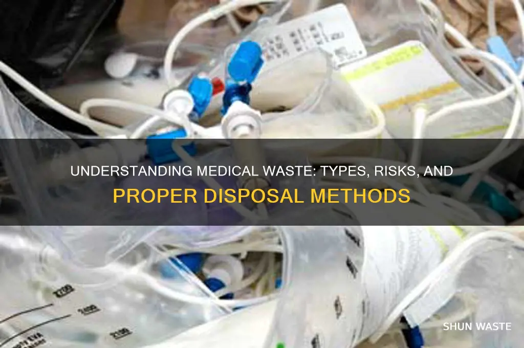 Understanding Medical Waste: Types, Risks, And Proper Disposal Methods ...