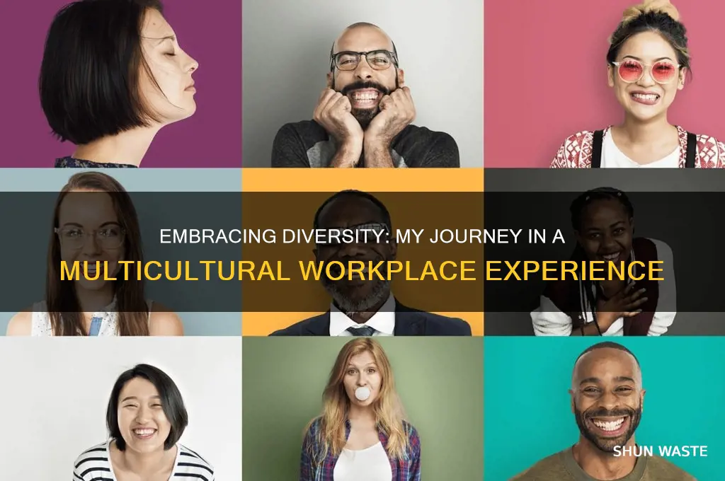 Embracing Diversity: My Journey In A Multicultural Workplace Experience ...