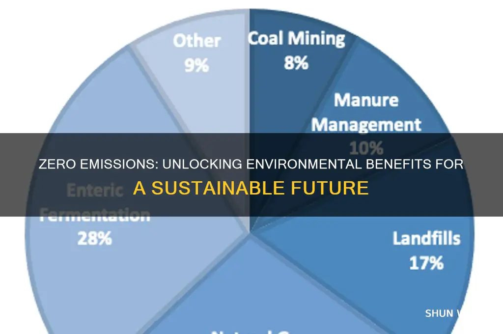 Zero Emissions: Unlocking Environmental Benefits For A Sustainable ...