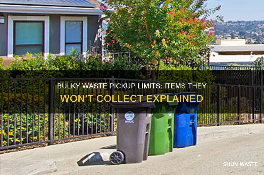 Bulky Waste Pickup Limits: Items They Won’T Collect Explained | ShunWaste